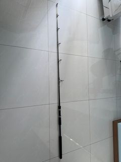 Eupro Cyclone - Surfcast Fishing Rod, Sports Equipment, Fishing on ...
