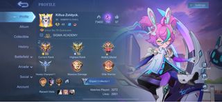 MLBB ACCOUNT 2 LIMITED SKIN&3 LIGHTBORN SKIN + epic+special, Video ...