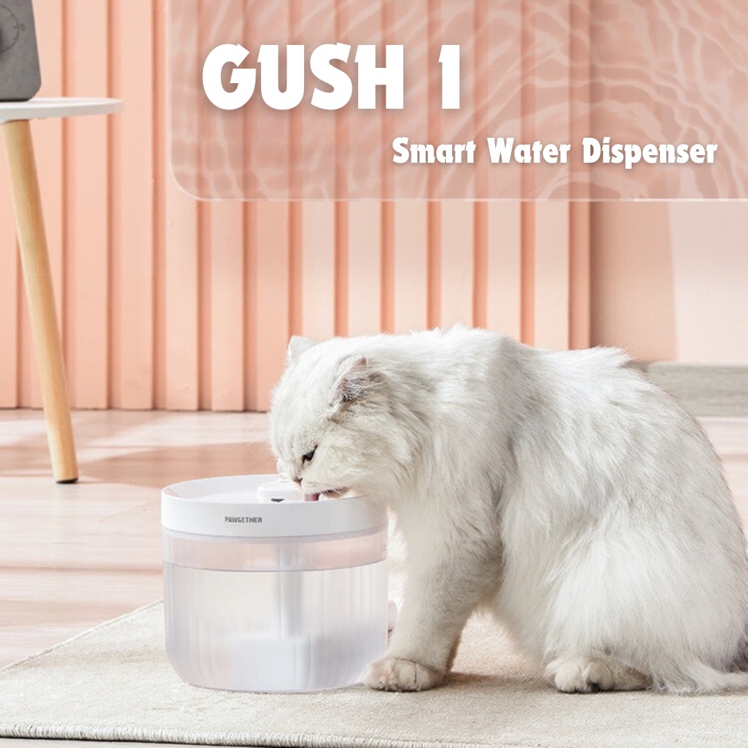 PAWGETHER Smart Water Dispenser Fountain-Gush 1, Pet Supplies, Homes ...