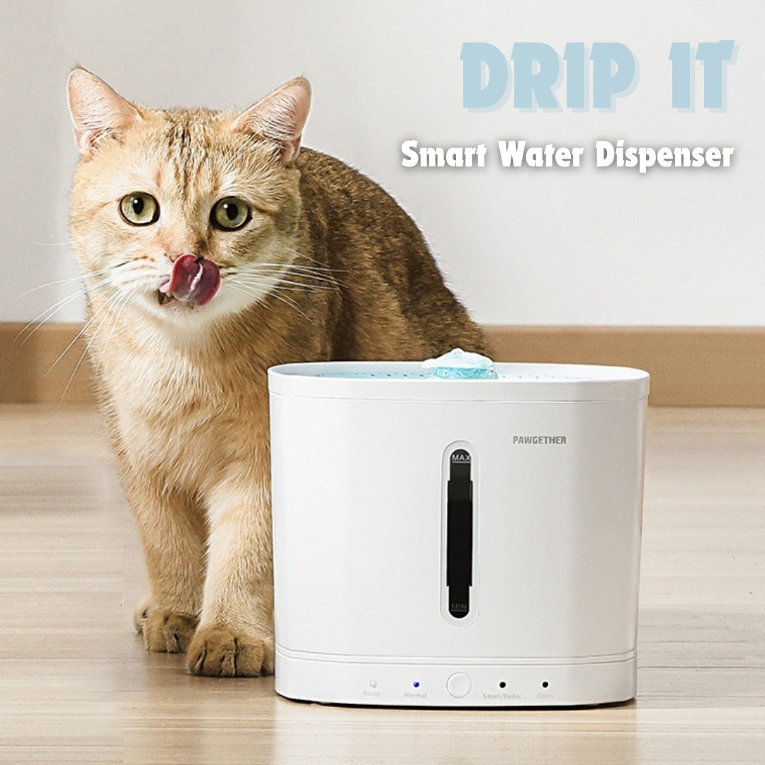 PAWGETHER Smart Water Dispenser fountain-DRIP 1T, Pet Supplies, Homes ...