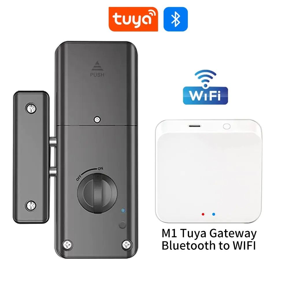 Tuya Smart Electric Motor Lock App Keyless Entry Door Bolt Lock ...