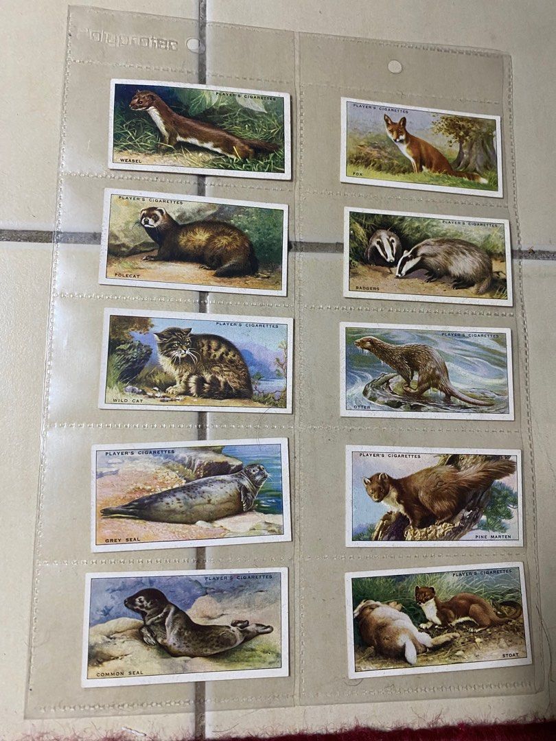1939 JOHN PLAYER & SONS ANIMALS OF THE COUNTRYSIDE 30 CARD SET ...