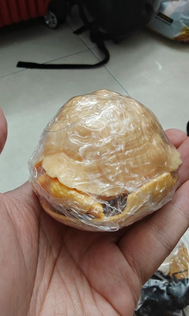 Original bandai gashapon dango mushi albino sulcata Greek and leopard ...