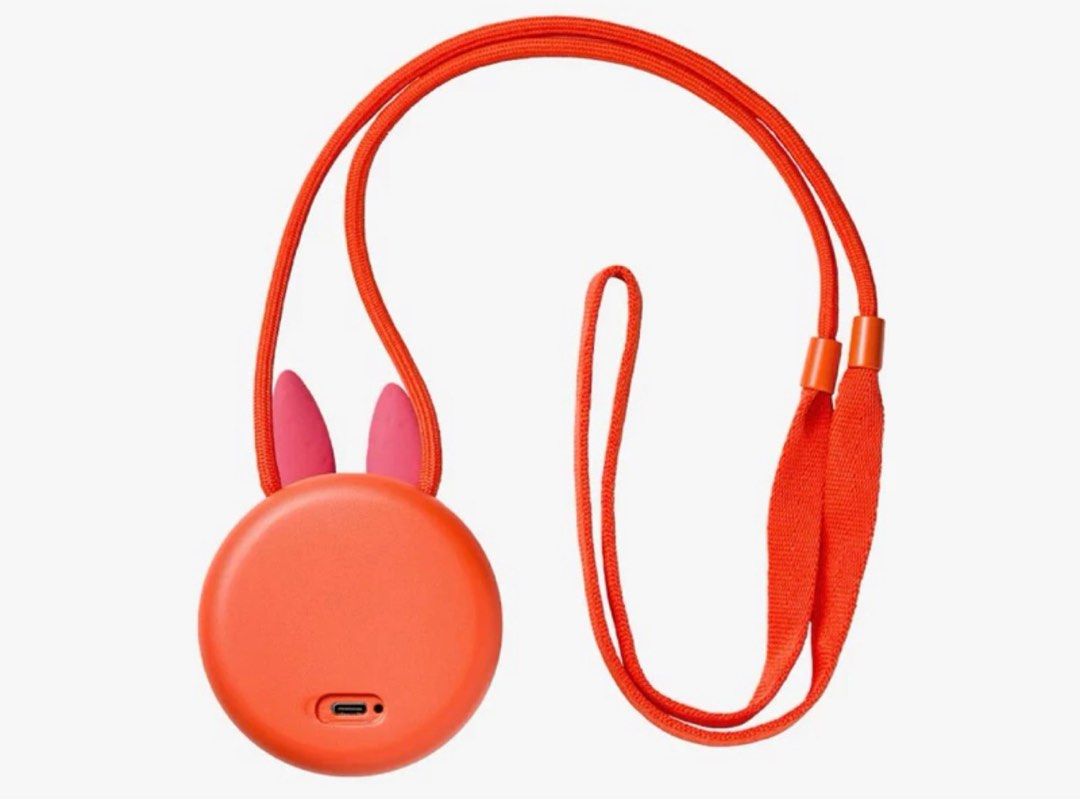 Popmart Labubu Fans, Hobbies & Toys, Toys & Games on Carousell