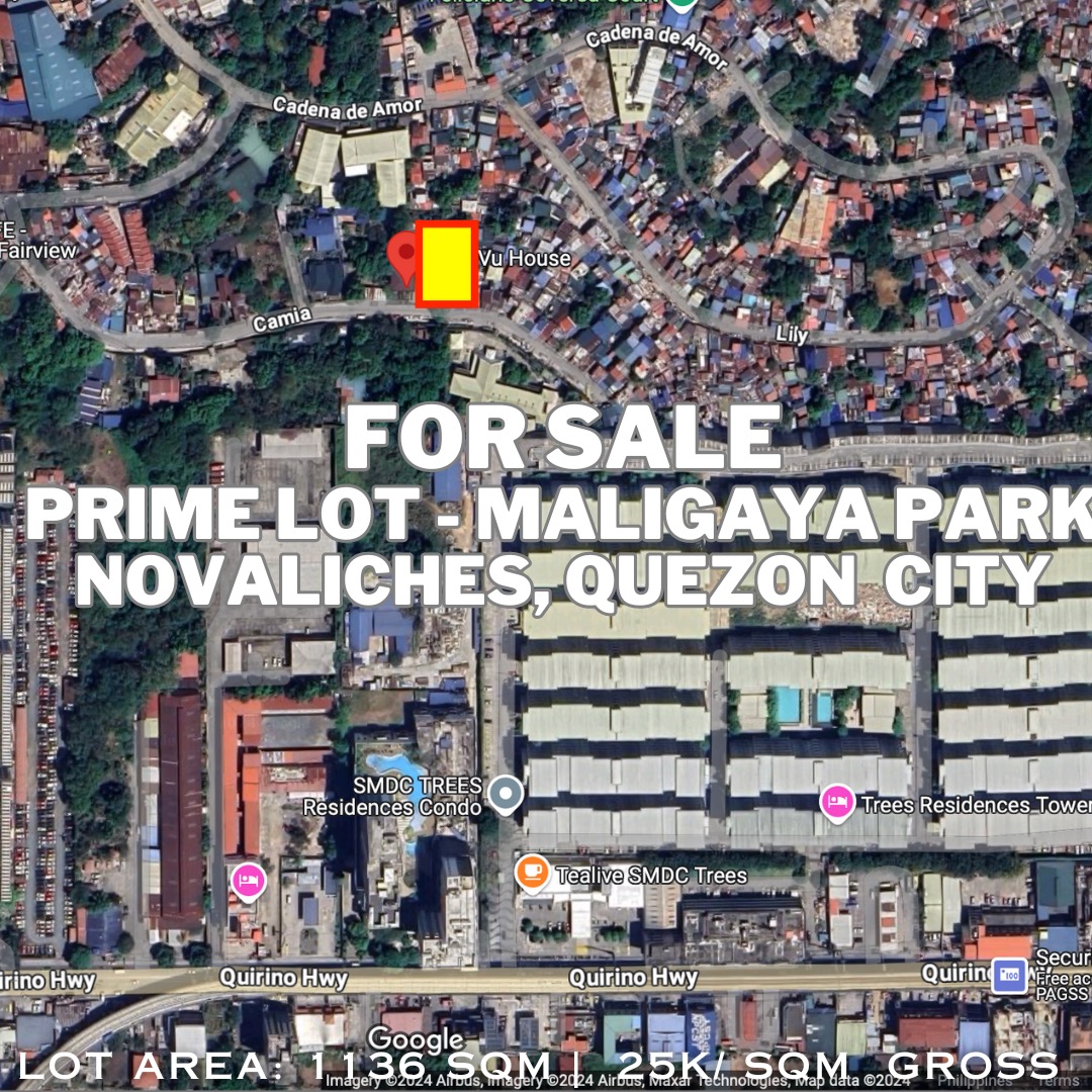 Prime Lot in Novaliches Quezon City - Maligaya Park Subdivision ...
