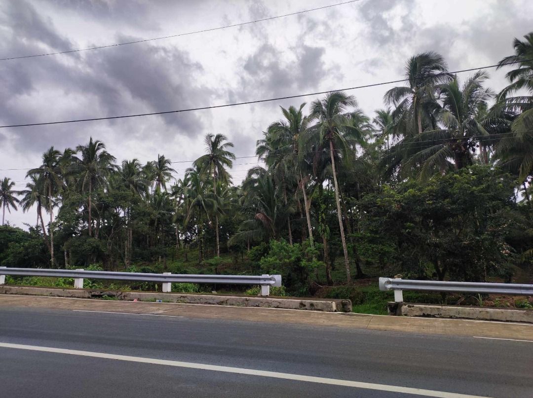 1.32 Hectares Farm along Diversion Road in Lucban, Quezon, Property ...