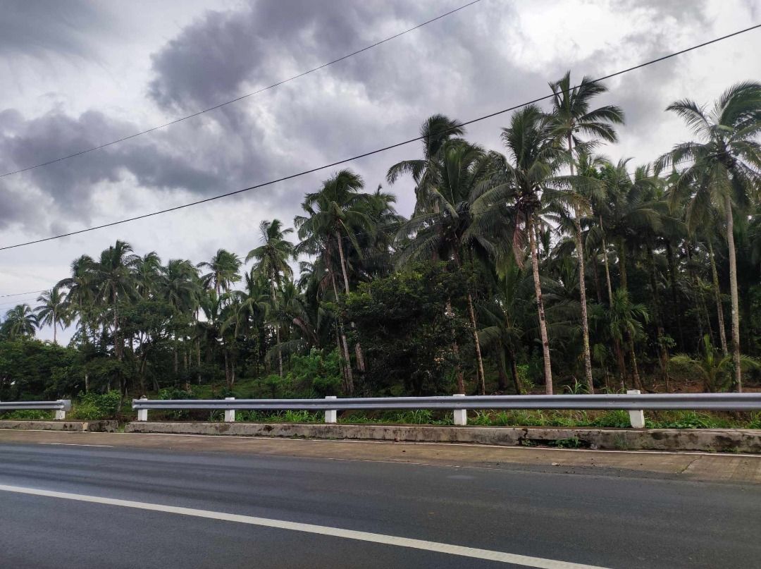 1.32 Hectares Farm along Diversion Road in Lucban, Quezon, Property ...