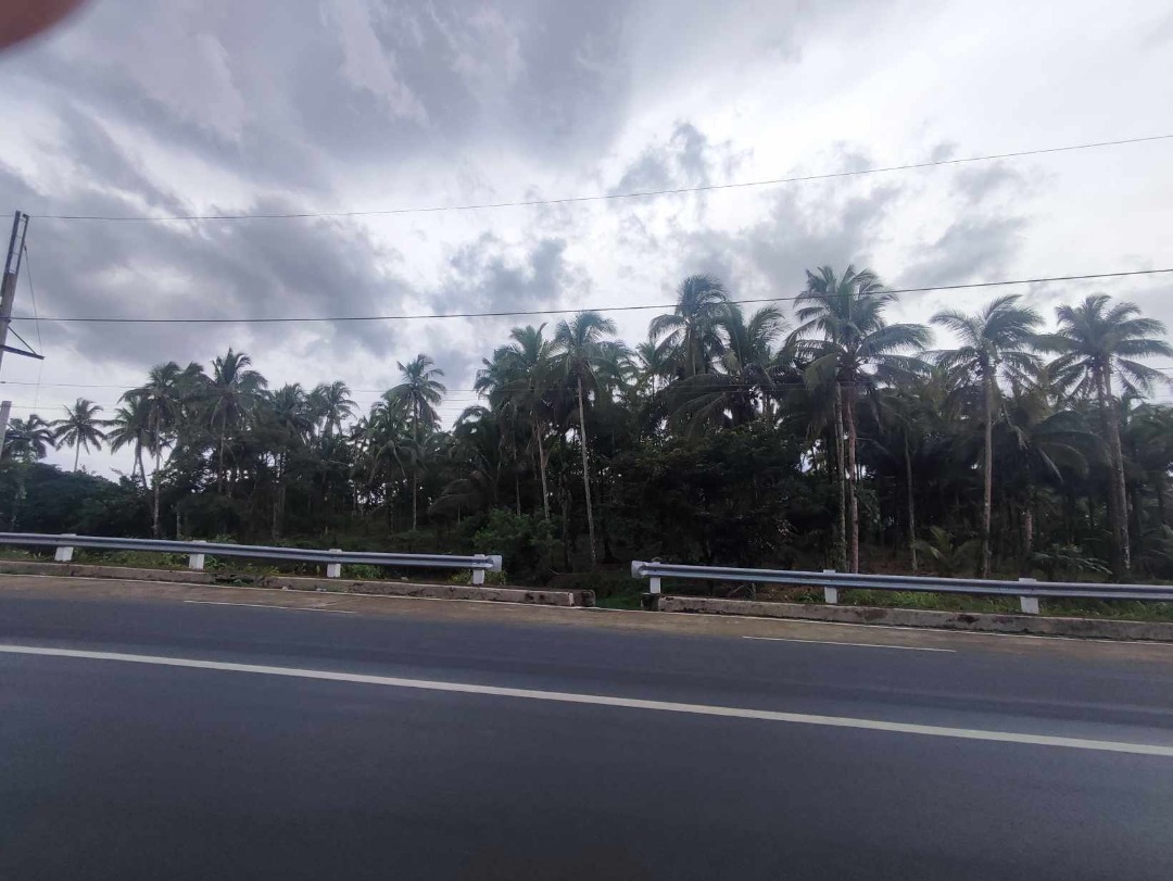 1.32 Hectares Farm along Diversion Road in Lucban, Quezon, Property ...