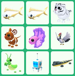 Adopt Me Ultra Rare Pet (Price in Desc), Pet Supplies, Homes & Other ...