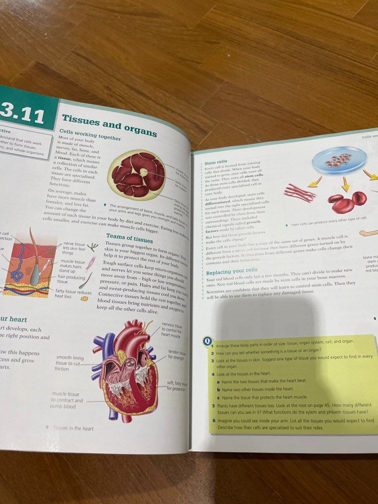 Biology Textbook, Hobbies & Toys, Books & Magazines, Textbooks on Carousell