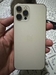 iPhone 12 Pro Max Gold 256GB, Mobile Phones & Gadgets, Mobile Phones ...