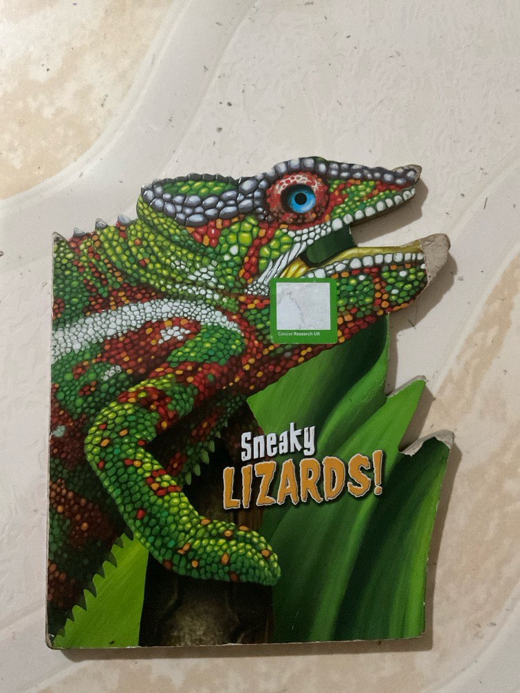 SNEAKY LIZARDS HARDBOUND, Hobbies & Toys, Books & Magazines, Children's ...