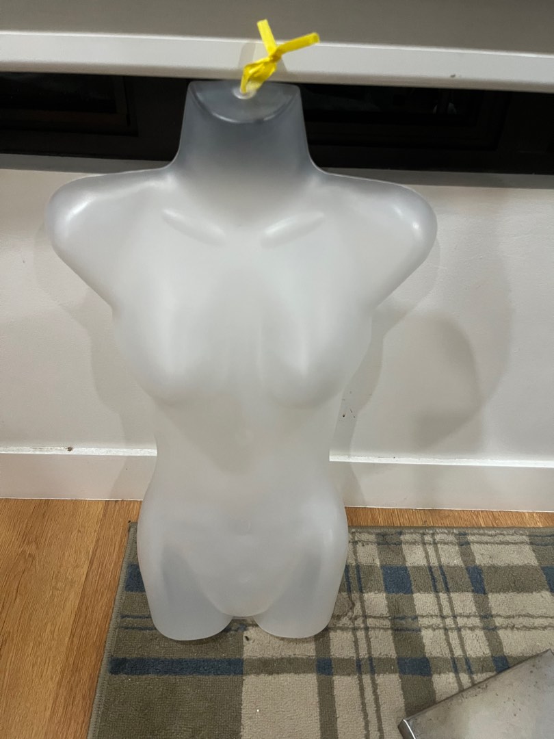 Transparent Mannequin, Hobbies & Toys, Stationary & Craft, Other ...