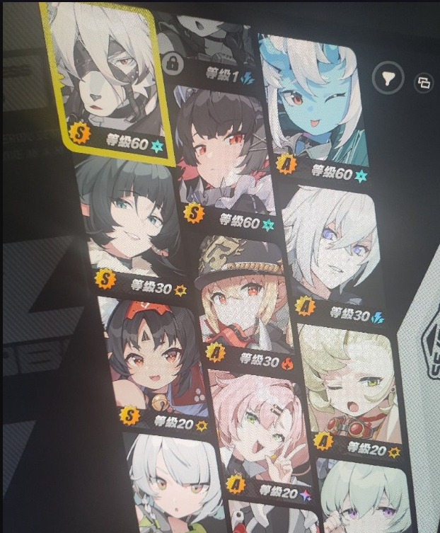 9*S Rank Jane Doe + Sign, Ellen + sign, Lycaon, Nekomata, ZZZ account ...