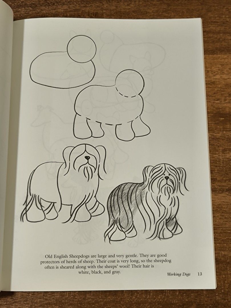 How To Draw Dogs Book Art By Barbara Soloff Levy, Hobbies & Toys, Books ...