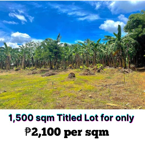 1500 sqm Titled Lot for Sale in Daine II, Indang Cavite, Property, For ...