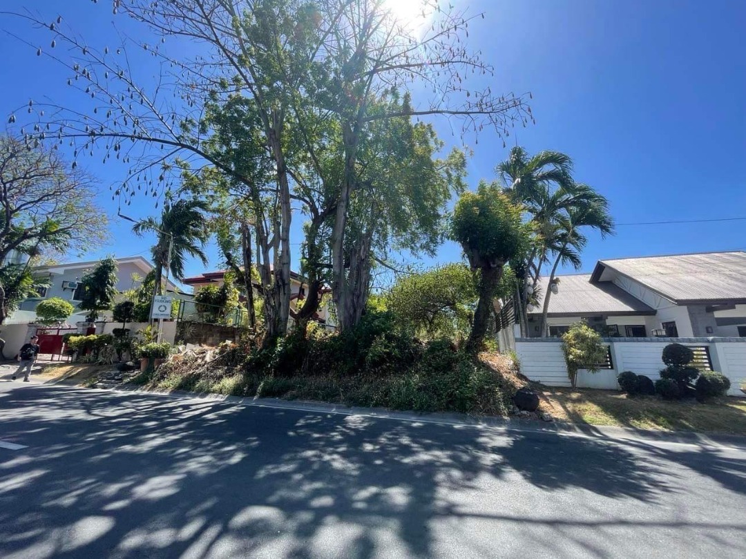 Concha Cruz Residential Commercial Lot For Sale, Property, For Sale ...