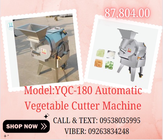 Model:YQC-180 Automatic Vegetable Cutter Machine, Everything Else ...