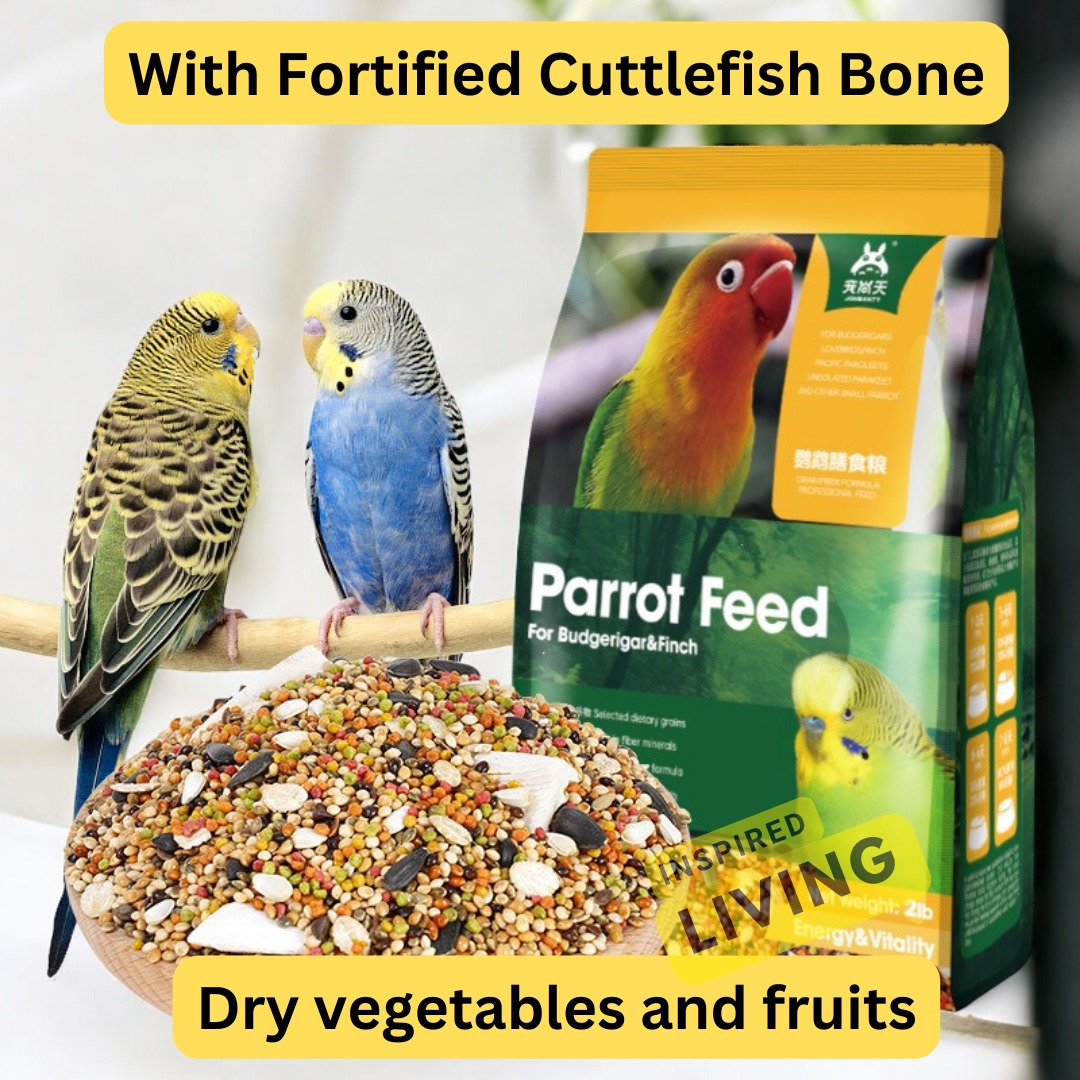 Premium Bird Food - small breed parrot Finch , Budgies | Enriched with ...