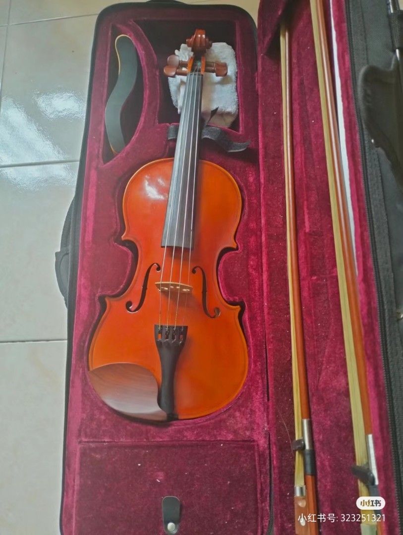 Vivace secondhand violin, Hobbies & Toys, Music & Media, Musical ...