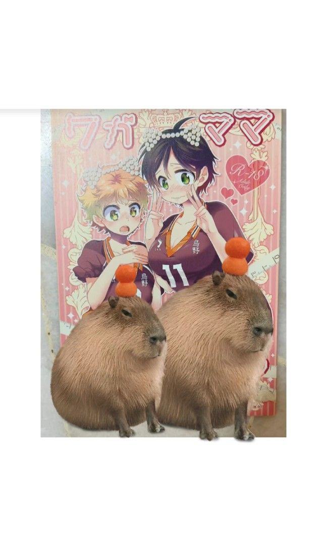 wts haikyuu doujin tsukiyama/yamatsuki, Hobbies & Toys, Collectibles ...