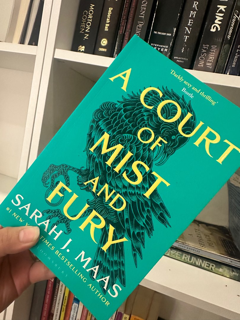 A Court of Mist and Fury by Sarah J. Maas | ACOTAR - A Court of Thorns and Roses Series, Hobbies ...