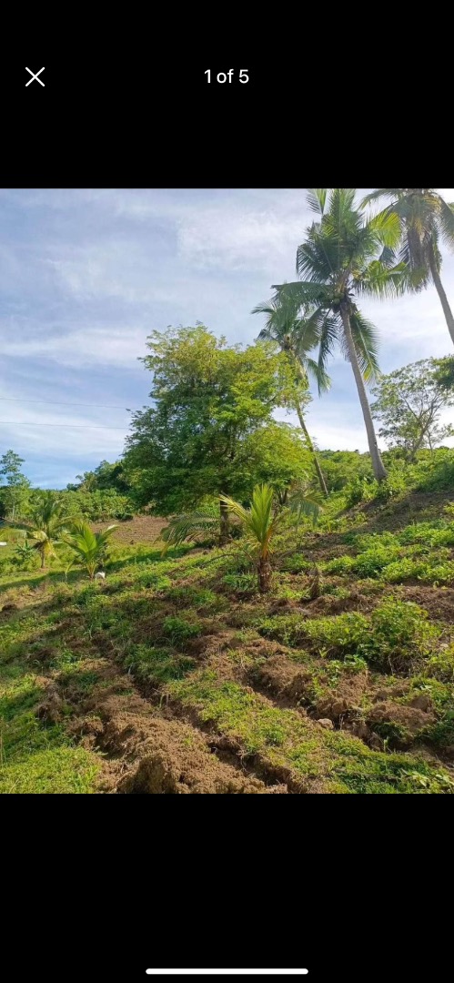 Farm Lot - Torrijos, Marinduque, Property, For Sale, Lot on Carousell