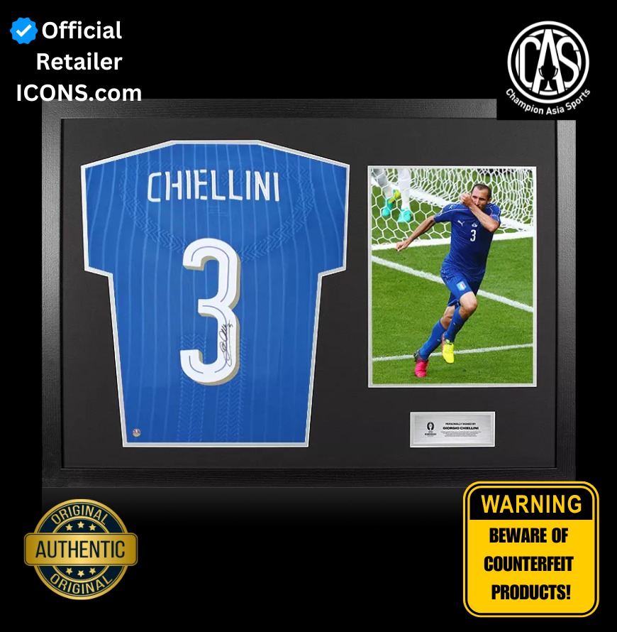 Giorgio Chiellini Official UEFA EURO 2024 Back Signed and Hero Framed ...