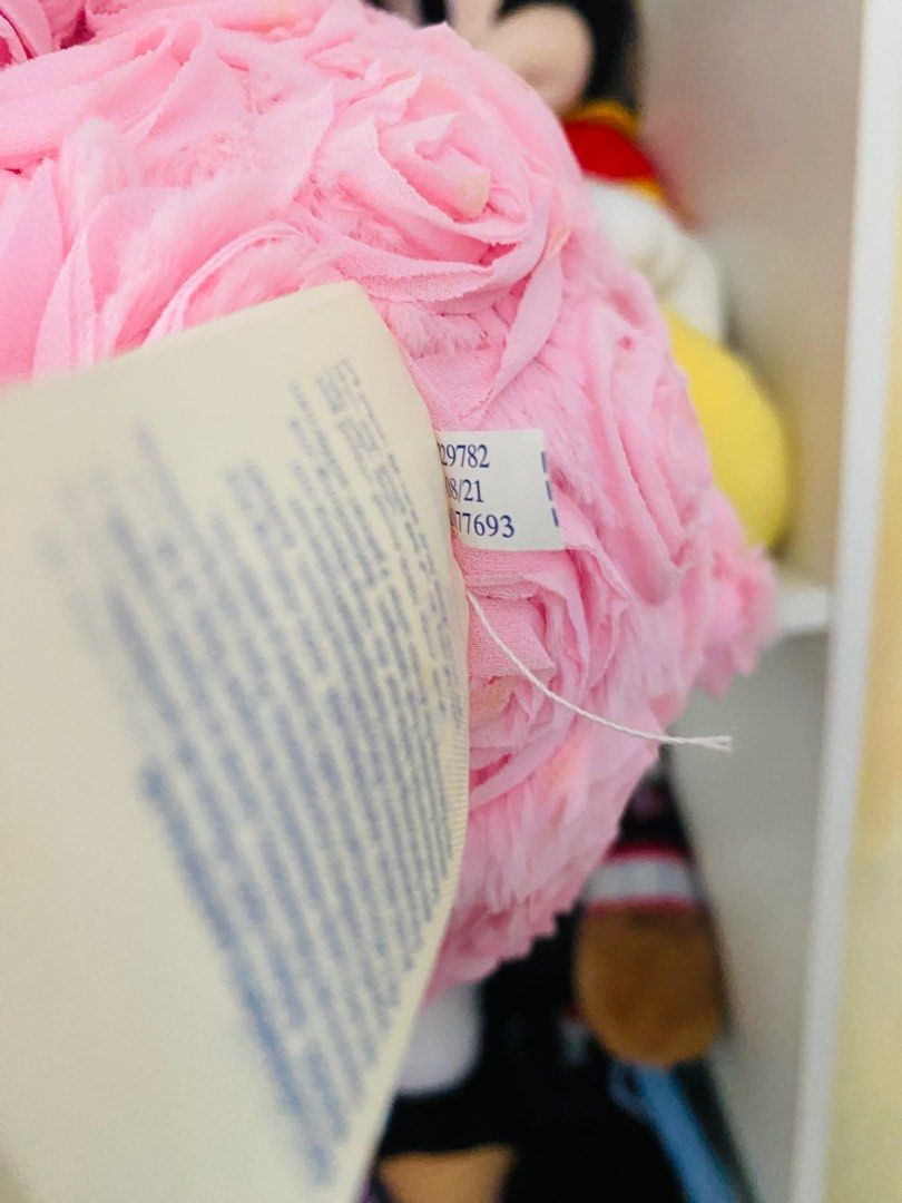 Build A Bear Roses Pink, Everything Else, Others on Carousell