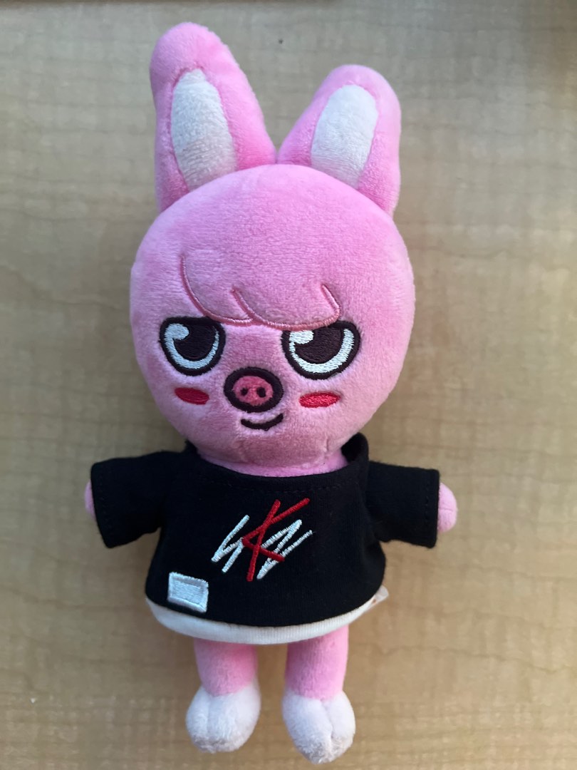 Dwaekki - Straykids Changbin Mini Skzoo, Hobbies & Toys, Memorabilia ...