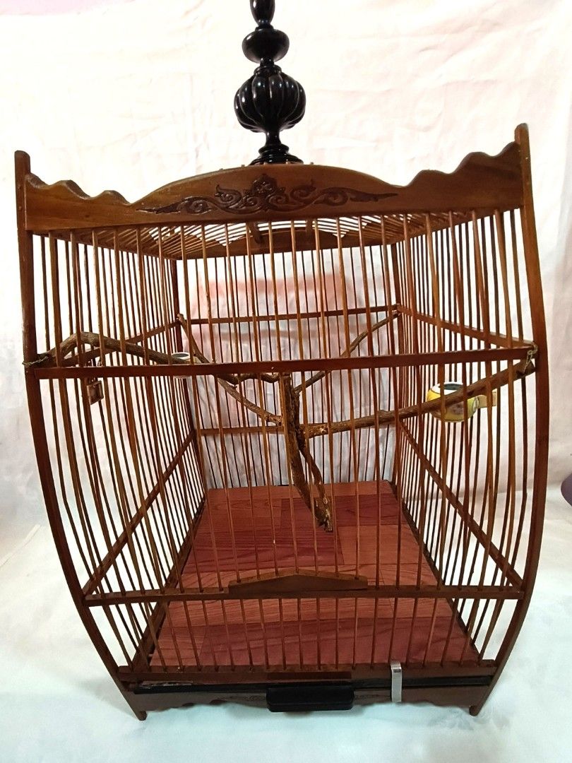Jambul square bird cage, Pet Supplies, Homes & Other Pet Accessories on Carousell