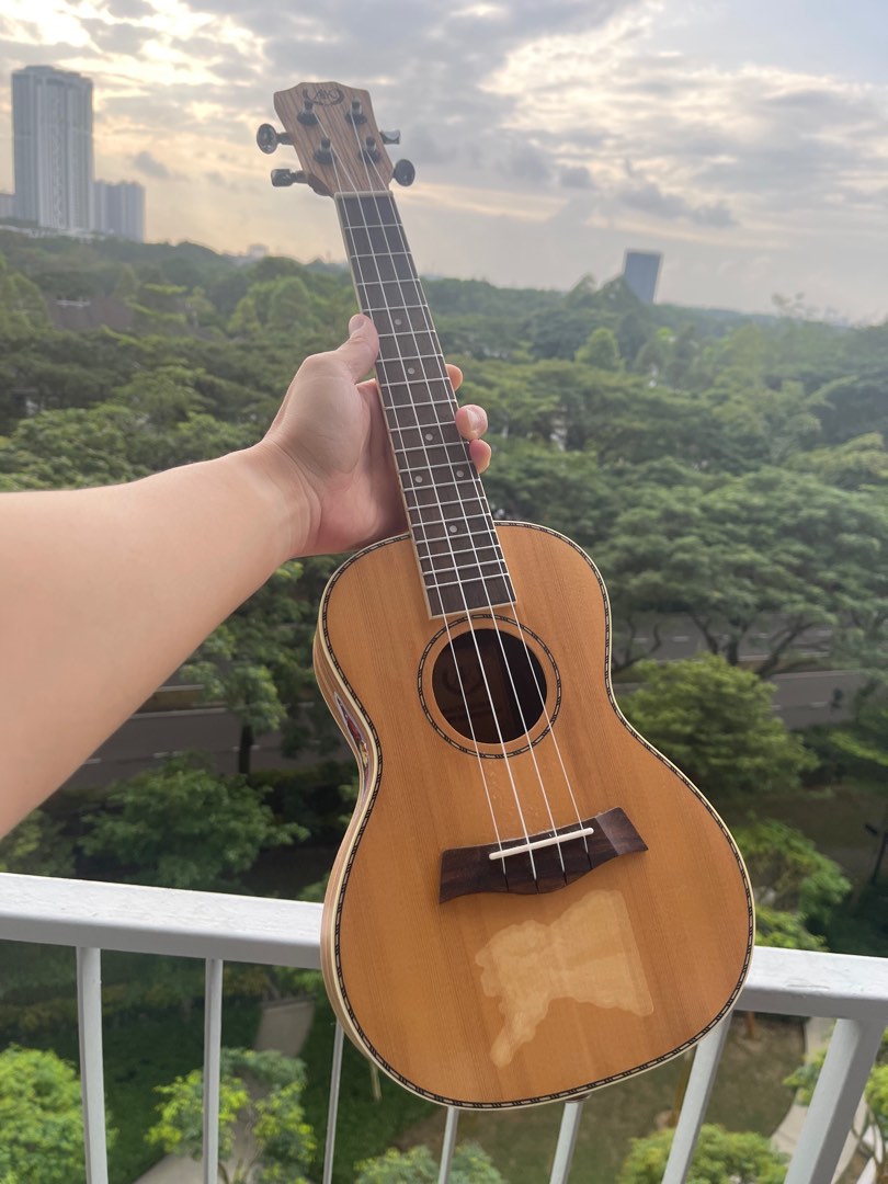 Lightly use professional Ukulele + free stand, Hobbies & Toys, Music ...