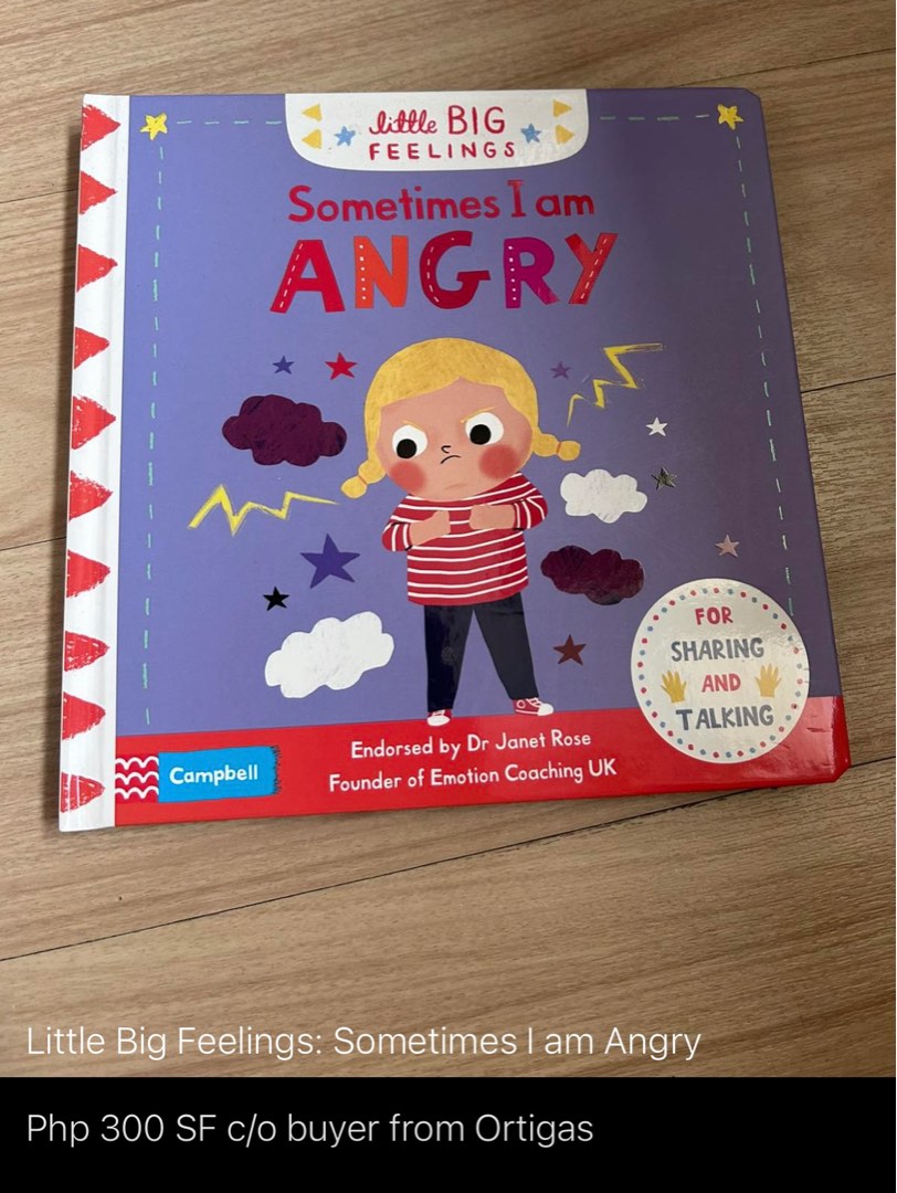 Little Big Feelings: Sometimes I feel Angry, Hobbies & Toys, Books ...