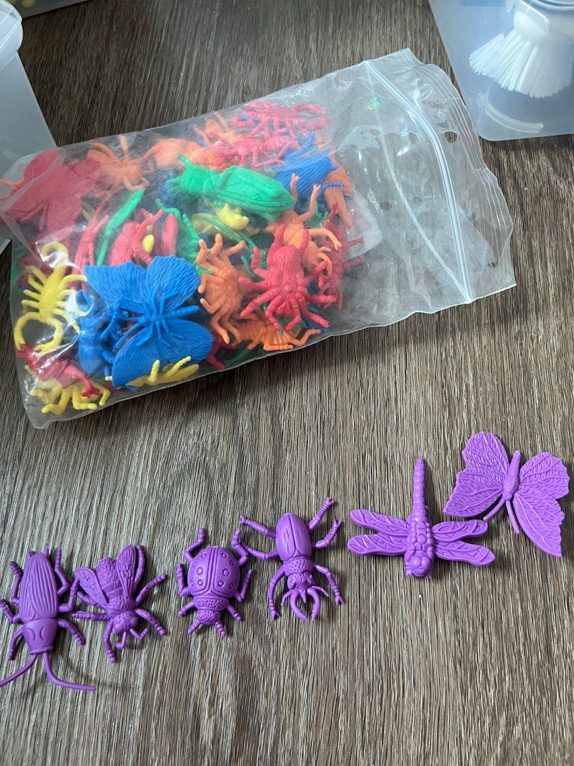 Realistic Bug Counters, Hobbies & Toys, Stationery & Craft, Other Stationery & Craft on Carousell