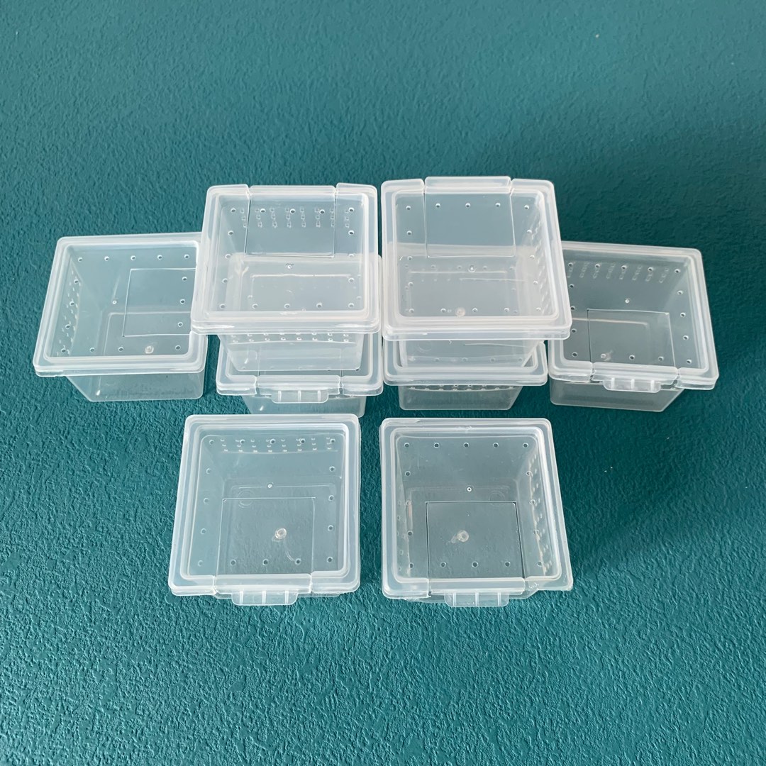 RM0.30 Insects breeding box square pets food storage box live feeding ...