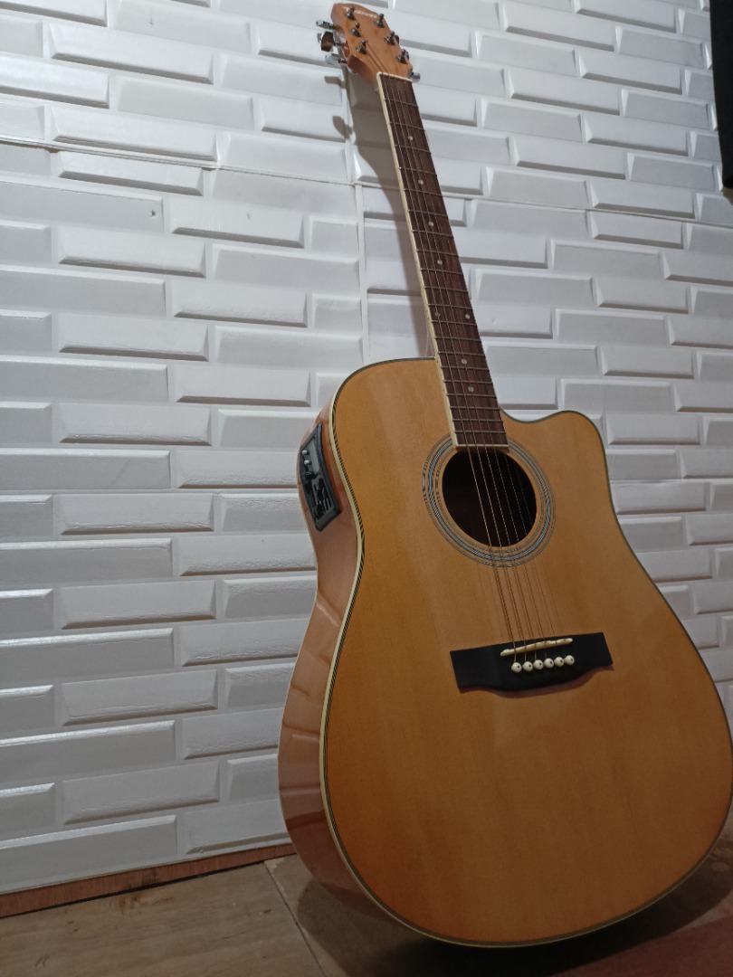 Fernando Acoustic Guitar with case and Epiphone Amplifier, Hobbies ...