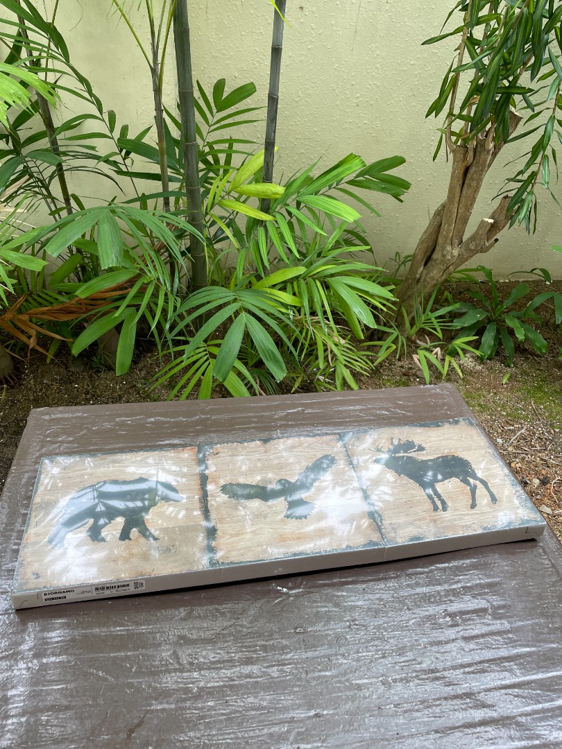 Ikea BJORNAMO posters 3 posters. Sealed and brand new. Dimension 25 x ...