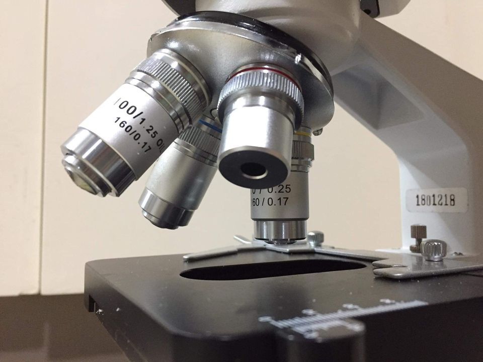 LED Binocular Compound Microscope, AmScope (B120 Series), 3D Stage ...