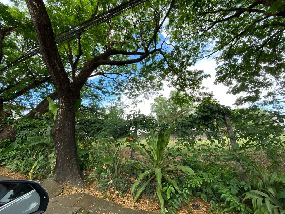 Not perimeter or Tumbok! Vacant Lot for Sale in Loyola Grand Villas ...