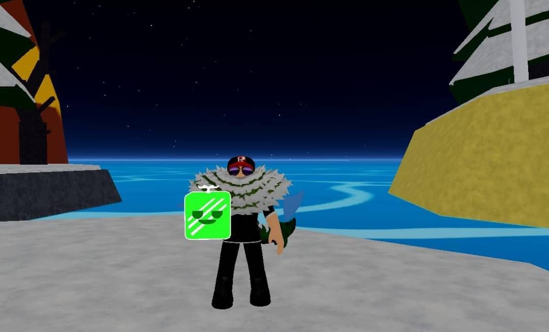 Blox Fruits Barrier Fruit, Video Gaming, Gaming Accessories, In-Game ...