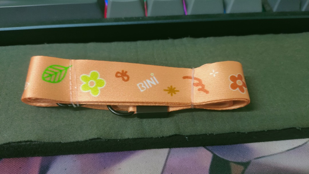 National Book Store x Bini - Lanyard Only - GWEN, Hobbies & Toys ...