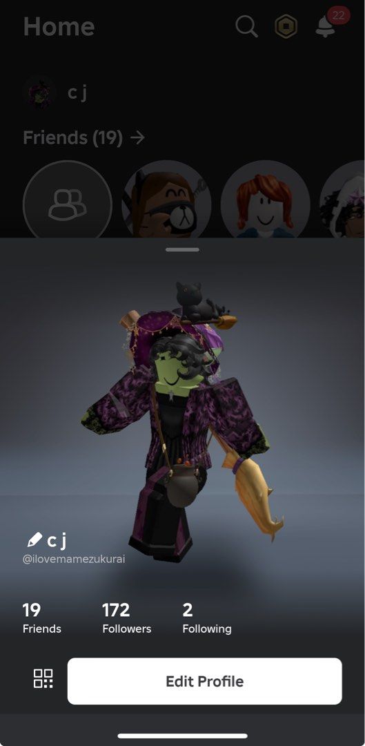 DTI (VIP-CUSTOM MAKEUP) & MANY MORE -ROBLOX ACCOUNT RUSH, Video Gaming ...