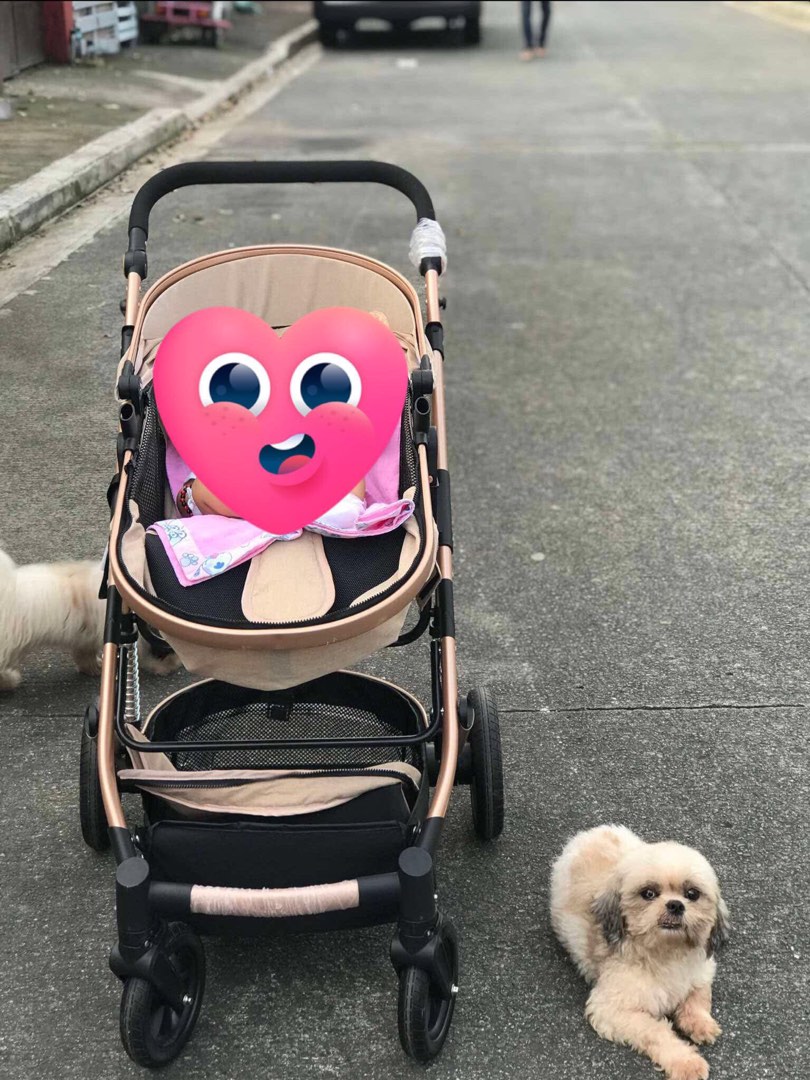 AESTHETIC STROLLER, Babies & Kids, Going Out, Strollers on Carousell