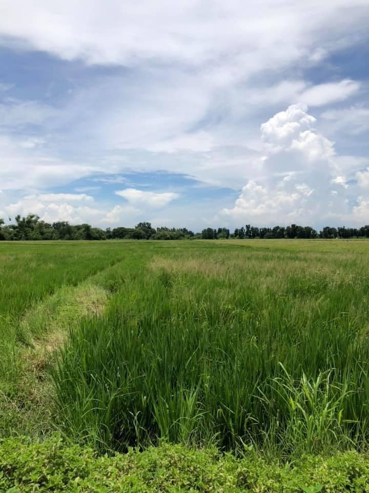 Luisita SCTEX Exit Lot near for sale near Cresendo Luisita Tarlac City ...