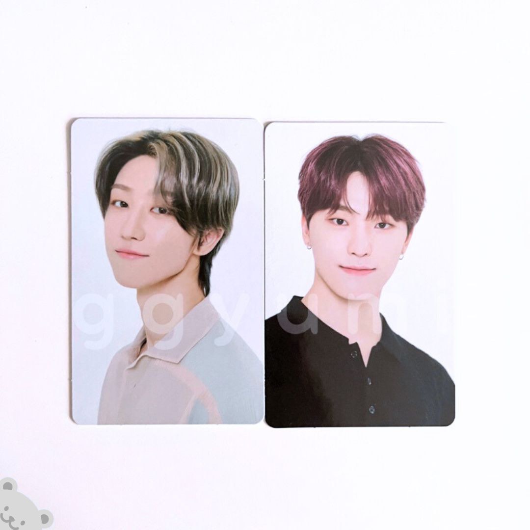 SEVENTEEN Weverse Card Wallet official merch - Photocard - The8 Dino pc ...
