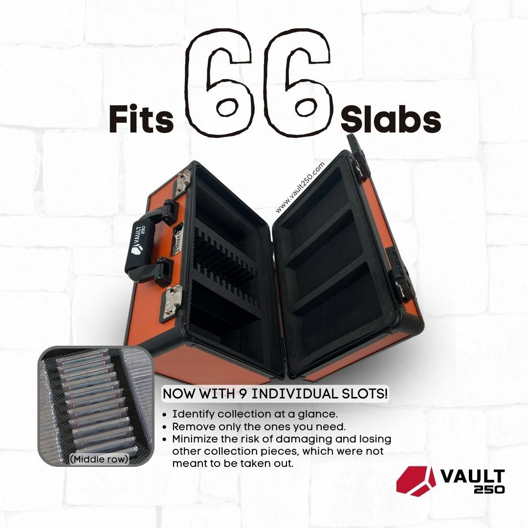 Vault250 Slab Case Outlook - 3 CARD DISPLAY WITH TSA LOCK (Storage case ...