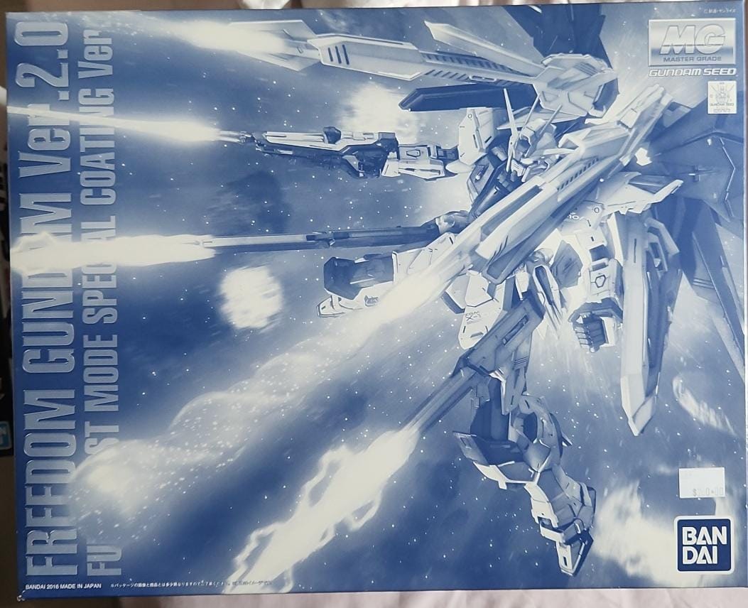 MG ZGMF-X10A FREEDOM GUNDAM VER 2.0 FULL BURST MODE (SPECIAL COATING ...