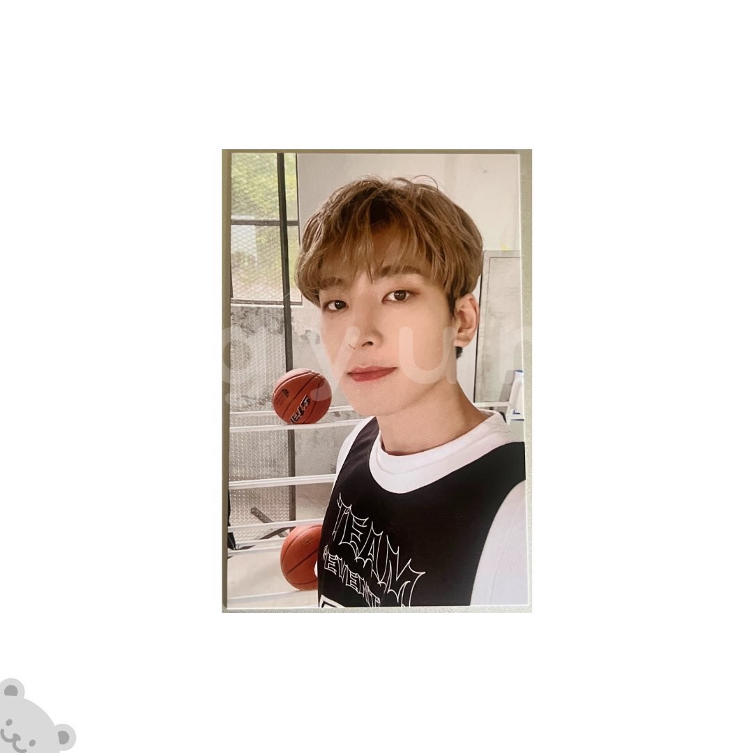 SEVENTEEN Global Carat 6th Membership Kit - SVT in Twenty official ...