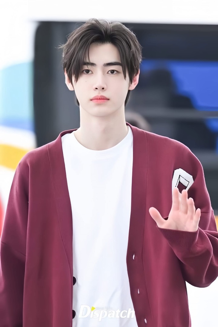 WTS LFB ENHYPEN x BENCH Cardigan, Men's Fashion, Coats, Jackets and ...