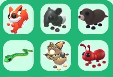 Adopt me common pack (RM0.80), Video Gaming, Video Games, Others on ...